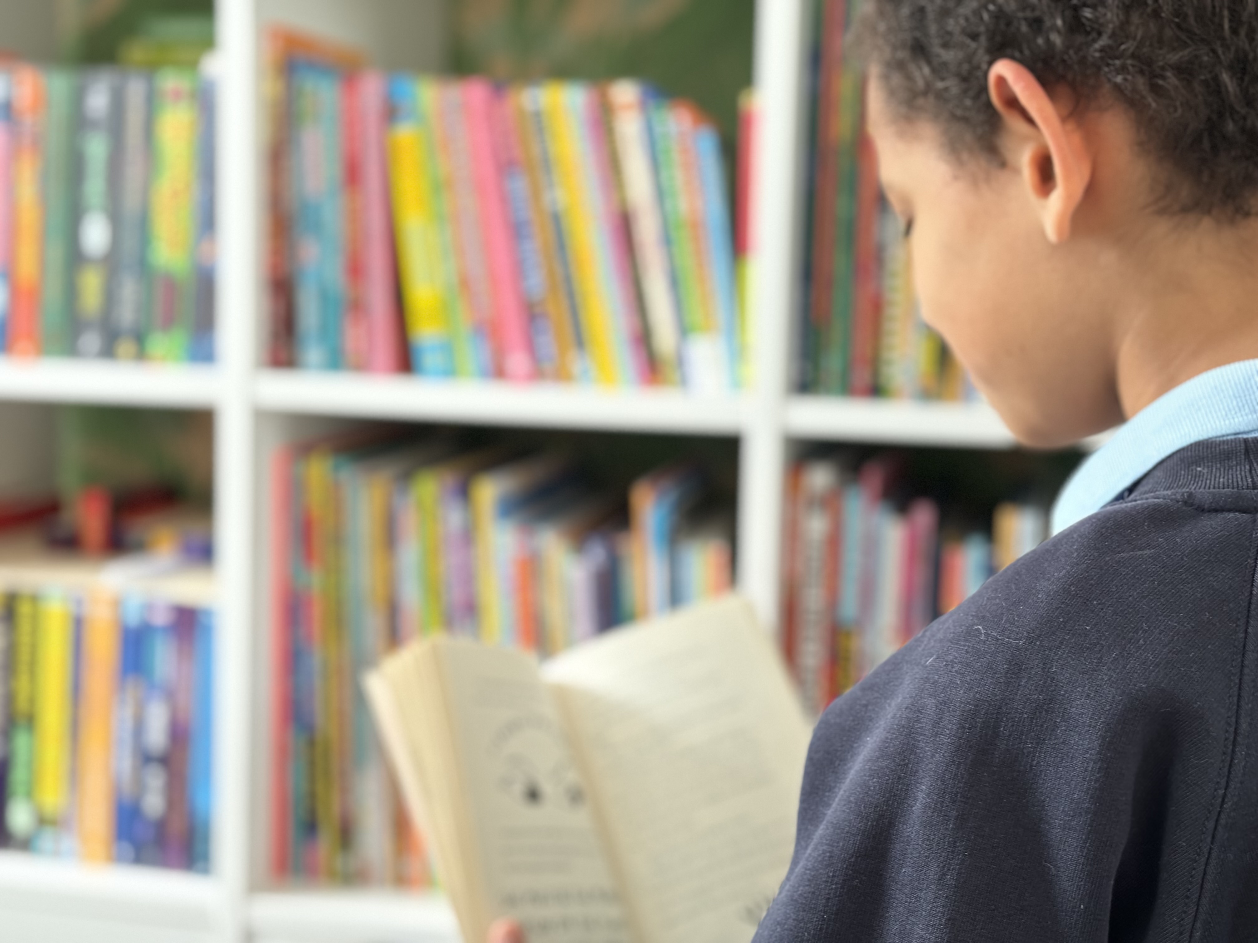 Free books scheme: IBC Book Box | IBC