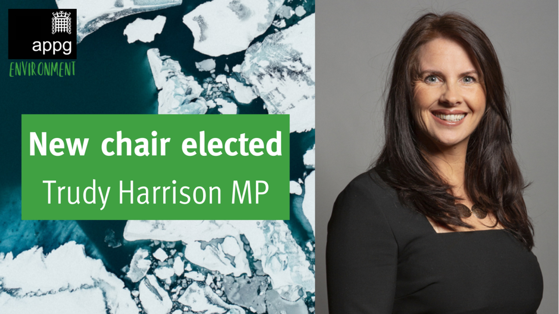 Trudy Harrison MP elected chair of Environment APPG | News ...